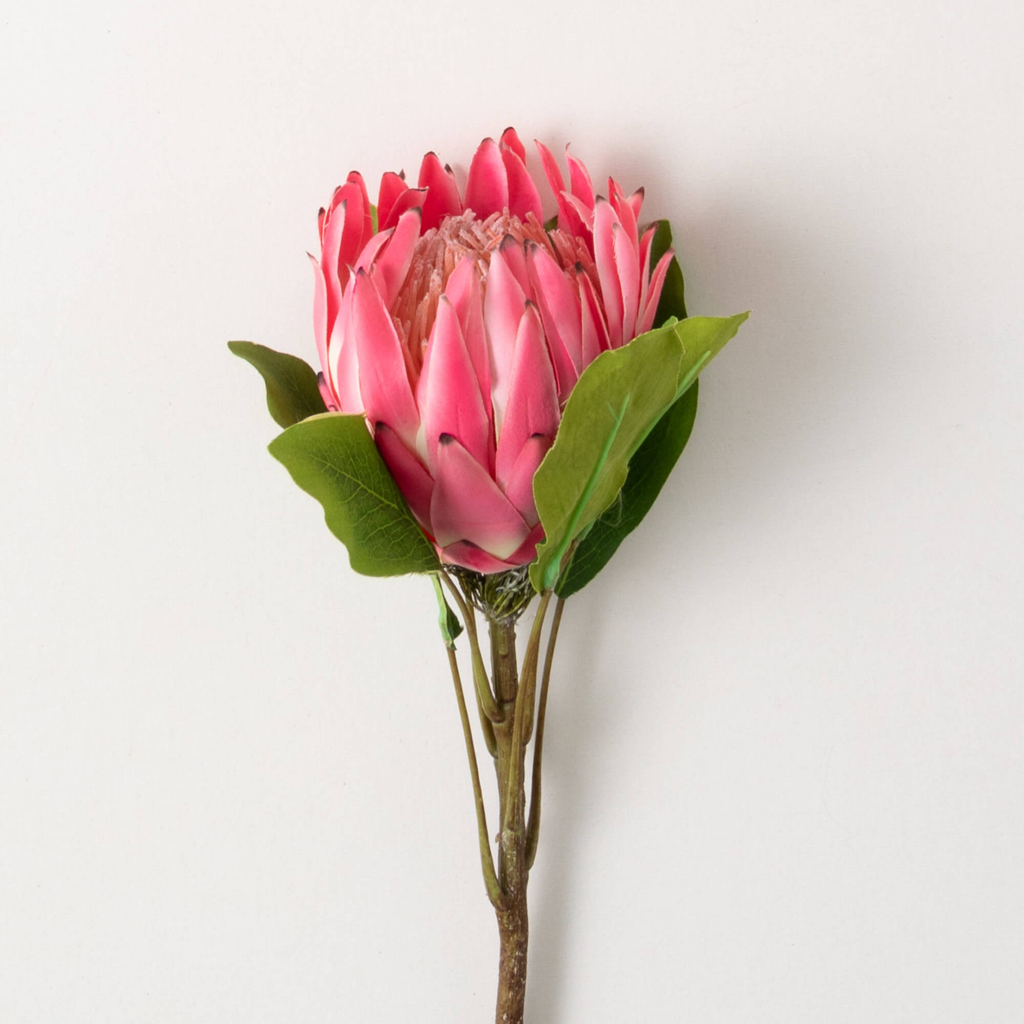 Dakota Fields Sullivans Artificial Pink Protea Spray 24.5"H | Wayfair